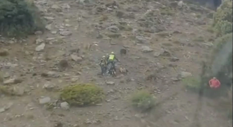 Divlja koza gurnula ženu s litice