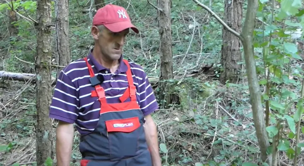 Medvjed mu ubio kravu: "Digao sam kredit kako bih je kupio"